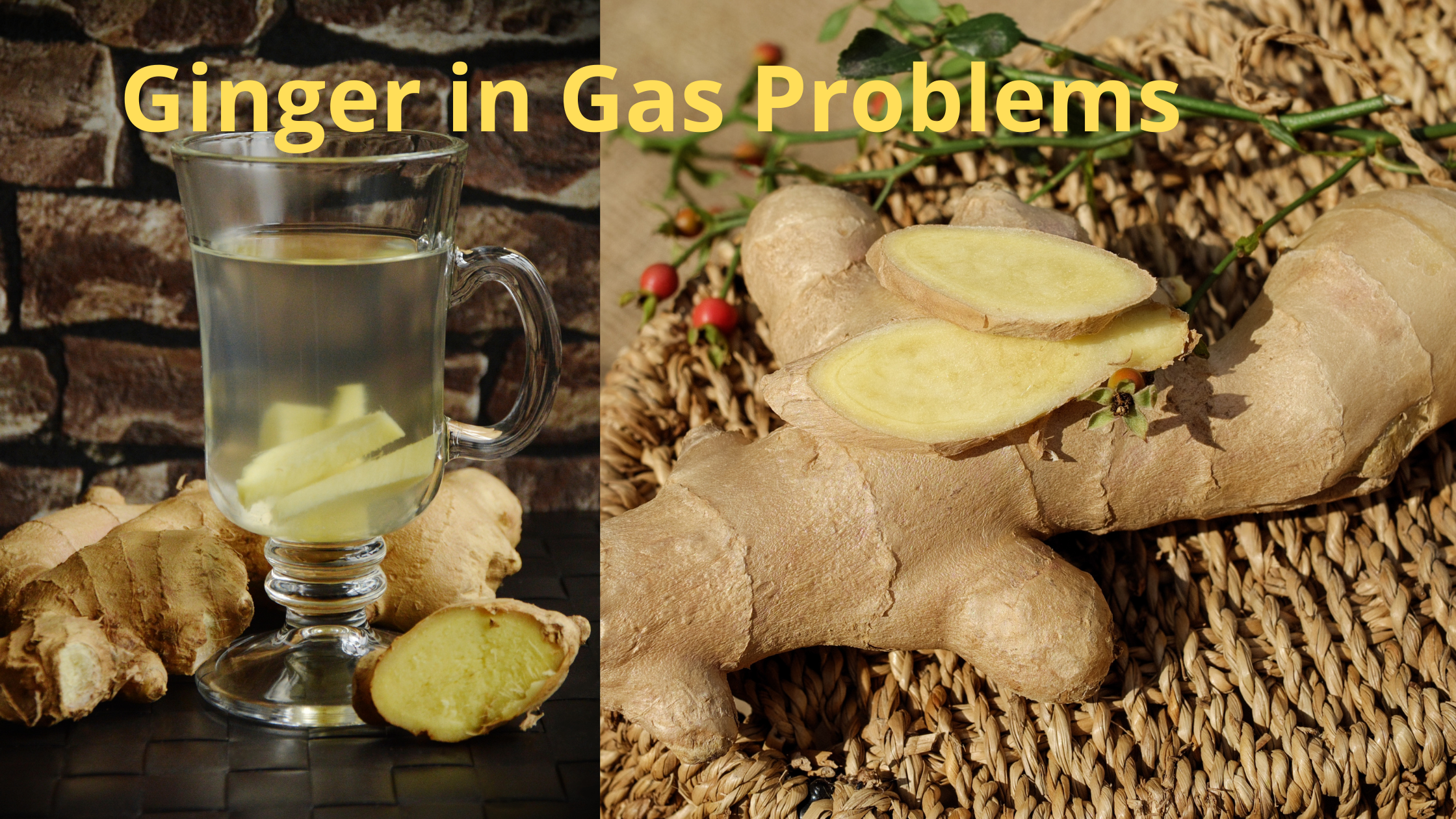HOW GINGER HELP WITH GAS PROBLEMS? – Animas Wellness